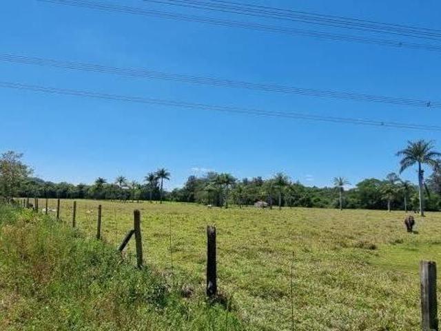 SÍTIO AMPLO COM 34 MIL M², LAGO E ÁREA PRODUTIVA | REGIÃO DE FÁCIL ACESSO N