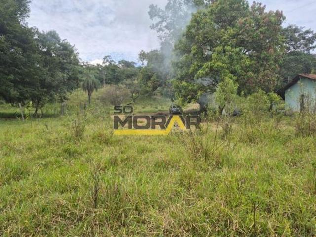 Sitio arborizado em Sao Joaquim de Bicas / MG