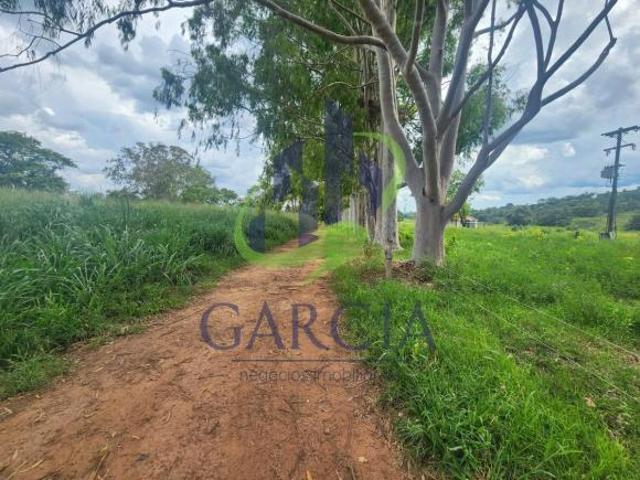 Sitio, Área Rural de Mogi Guaçu, Mogi Guaçu, SP