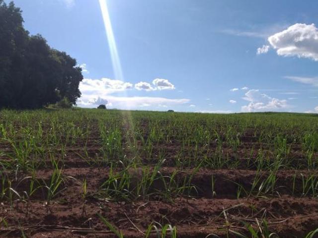 Sitio, Areia Branca, Santa Bárbara D&apos oeste, SP