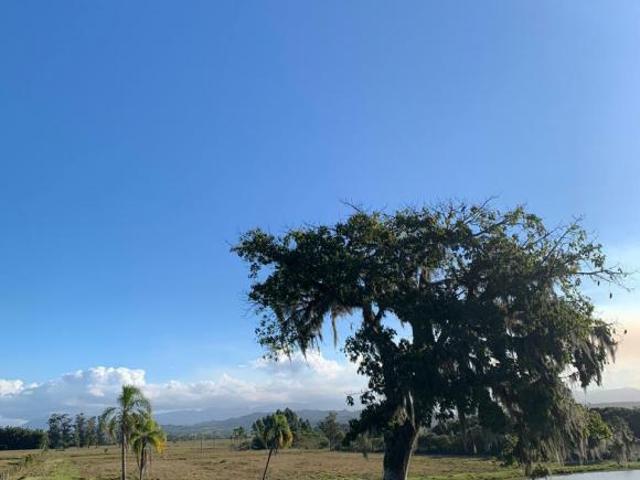 Sítio Bairro Campo Bonito