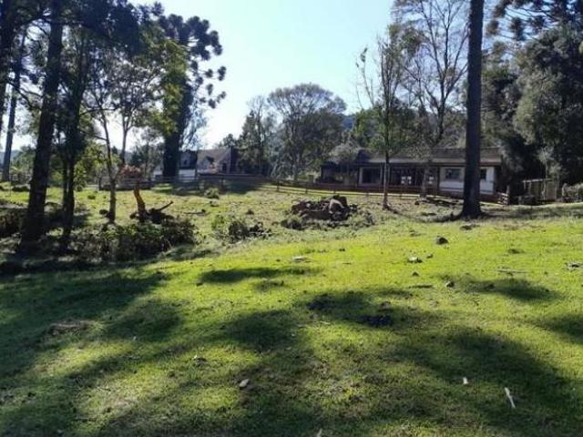 Sitio Bairro Linha Ávila