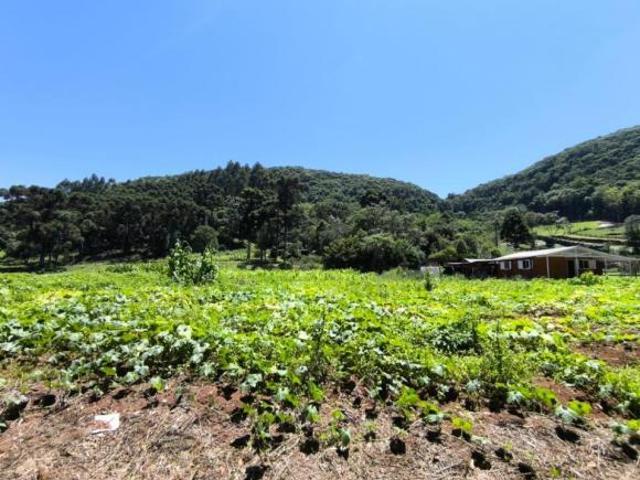 Sitio Bairro Linha Ávila