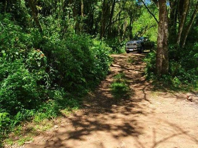 Sitio Bairro Linha Bonita