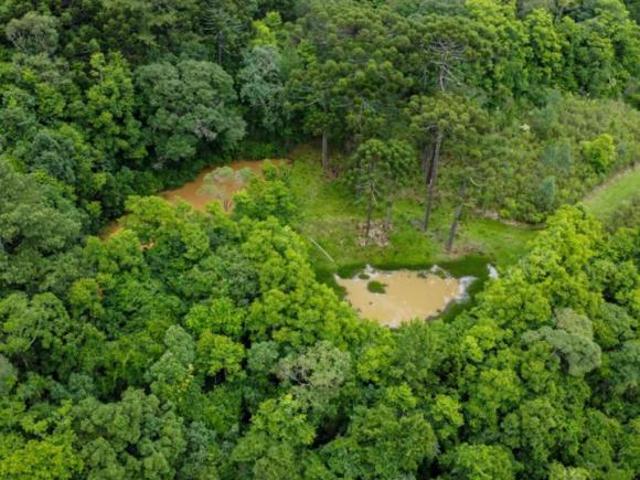 Sitio Bairro Linha Furna