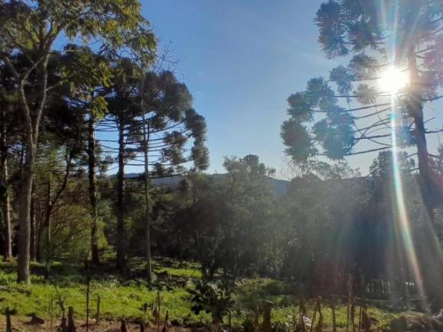 Sitio Bairro Linha Furna