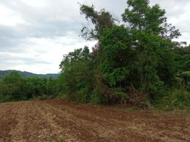 Sitio Bairro Linha Marcondes