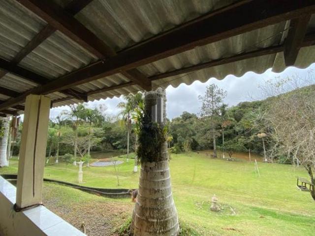 SÍTIO BAIRRO SARAPUÍ PIEDADE VENDA