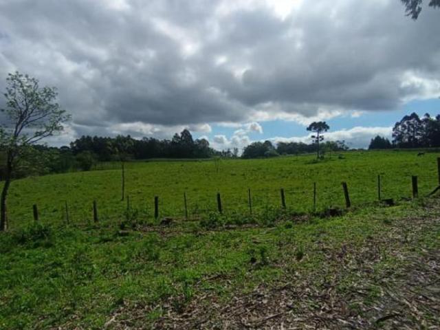 Sitio Bairro Serra Grande