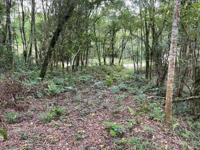 Sitio Bairro Pedras Brancas