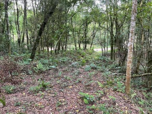 Sitio Bairro Pedras Brancas
