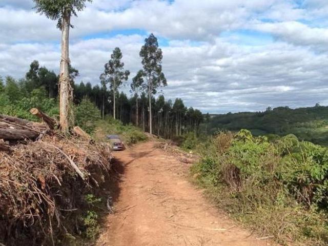 Sitio Bairro Pinhal Alto