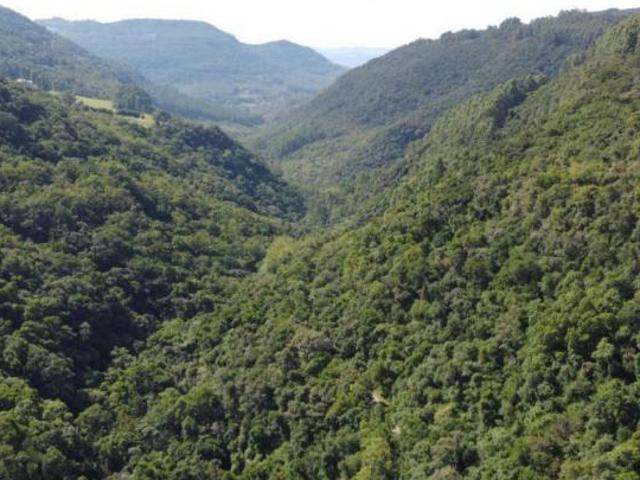 Sitio Bairro Várzea Grande