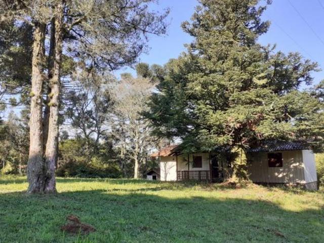 Sitio bem localizado com córrego e queda d/&apos água !