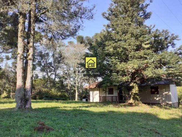Sitio bem localizado com córrego e queda d&apos água !