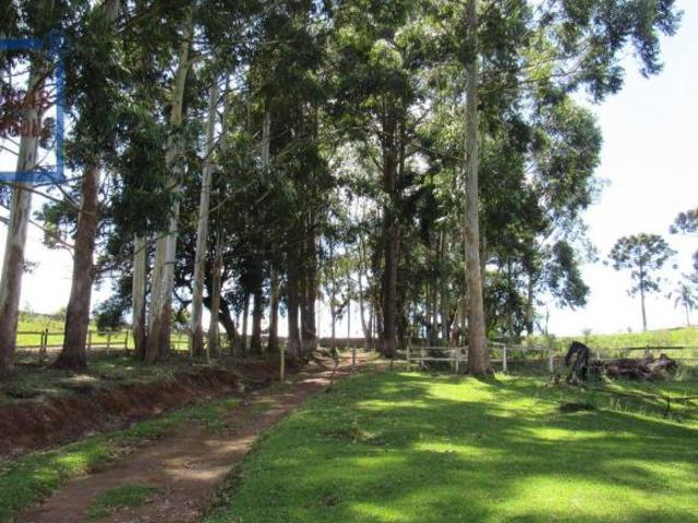 Sitio bem localizado em Piedade a 4 km do asfalto