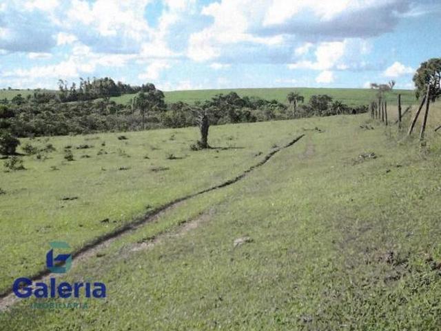 Sítio Bela Vista à venda, 36.300 m² Santa Rosa de Viterbo SP