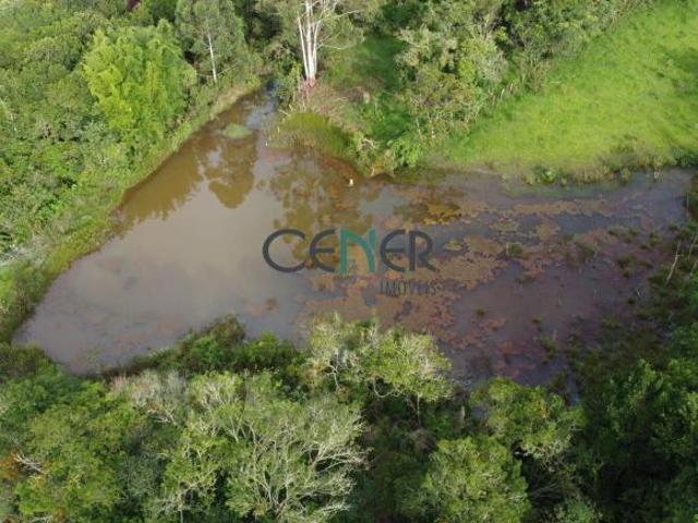Sítio bom de mais de 4 ha em Entre Rios de Minas MG