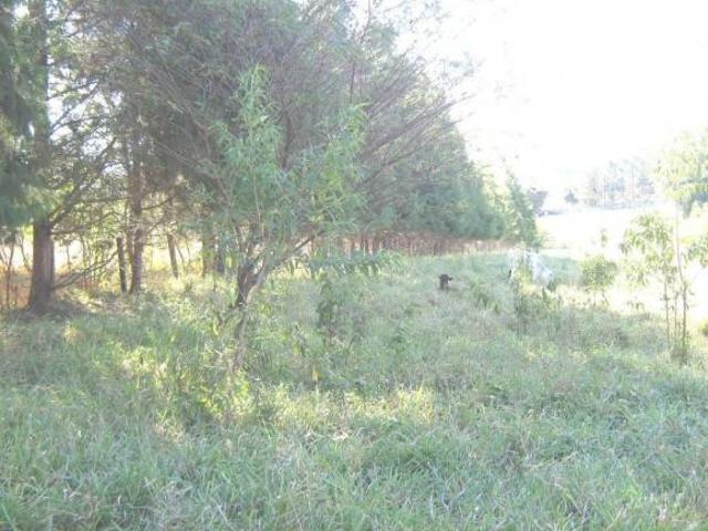 Sitio, Campo do Meio, Araçoiaba da Serra, SP