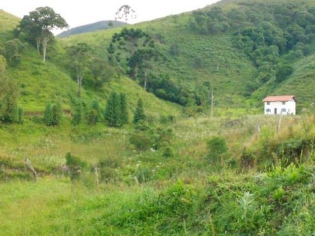 Sítio, Capivara, Itamonte, MG