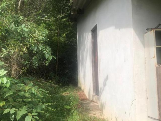 Sítio, Catuçaba, São Luiz do Paraitinga, SP