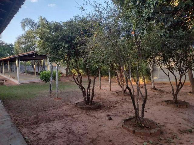 Sítio / Chácara para Locação em Hortolândia/SP Chácara Recreio Alvorada 3 Quartos