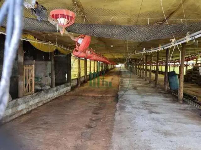 Sítio / Chácara para Locação em Itapetininga/SP Área Rural de Itapetininga