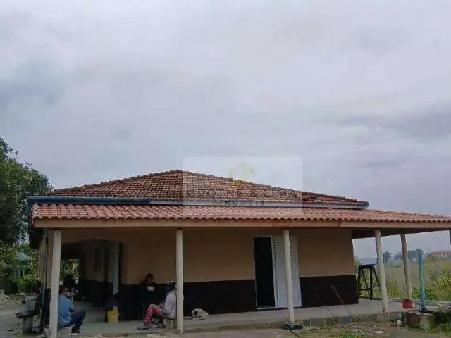 Sítio / Chácara para Locação em Jacareí/SP Chácaras Rurais de Guararema 4 Quartos