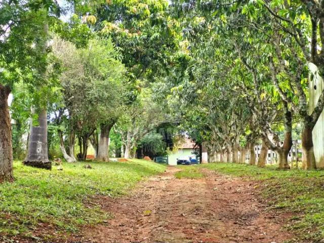 Sítio / Chácara para Locação em Jarinu/SP Rio Abaixo 5 Quartos