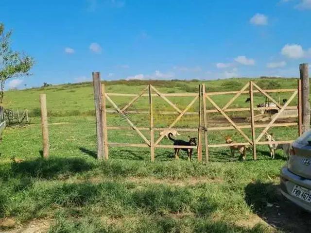 Sítio / Chácara para Locação em Pindamonhangaba/SP Borba 3 Quartos
