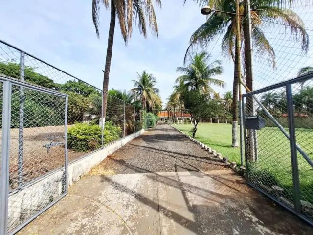 Sítio / Chácara para Locação em Ribeirão Preto/SP Recreio das Acácias 3 Quartos