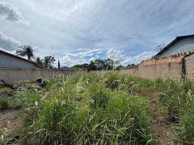 Sítio / Chácara para Locação em Uberlândia/MG Morada Nova
