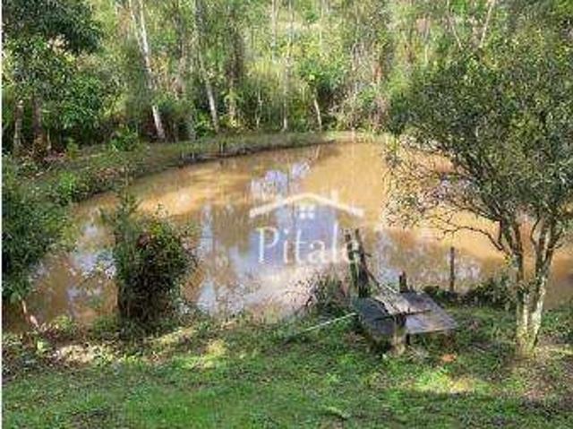 Sítio / Chácara para Venda em Cotia/SP Cachoeira 3 Quartos