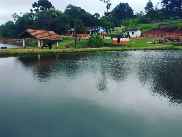 Sítio / Chácara para Venda em Cotia/SP Jardim das Graças