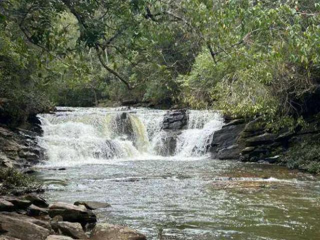 Sítio / Chácara para Venda em Cocalzinho de Goiás/GO Zona Rural