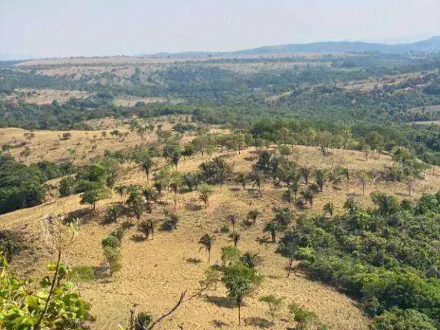 Sítio / Chácara para Venda em Cocalzinho de Goiás/GO Zona Rural