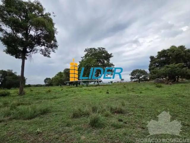 Sítio / Chácara para Venda em Cocalinho/MT Zona Rural