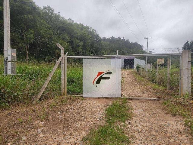 Sítio / Chácara para Venda em Colombo/PR Bacaetava 1 Quartos