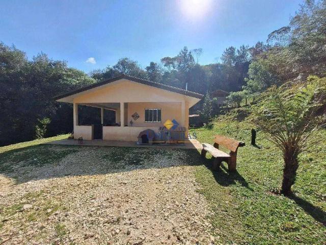 Sítio / Chácara para Venda em Colombo/PR Capivari 3 Quartos