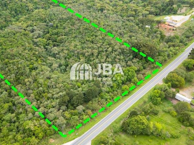 Sítio / Chácara para Venda em Colombo/PR Roseira
