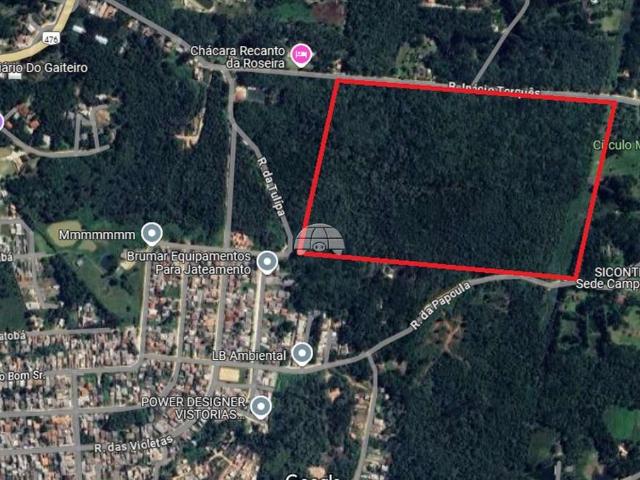 Sítio / Chácara para Venda em Colombo/PR Roseira