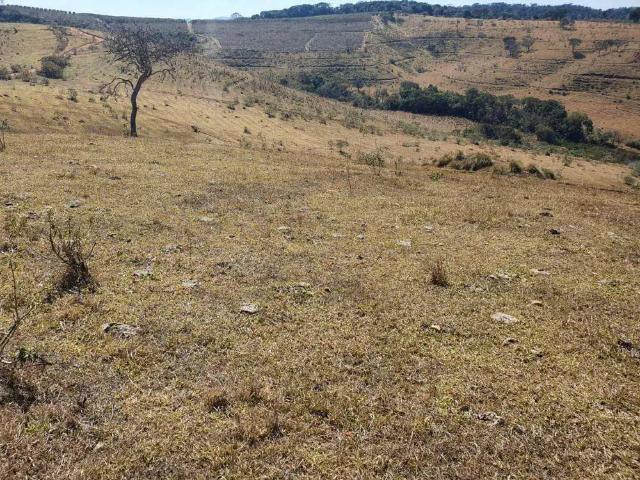 Sítio / Chácara para Venda em Conceição do Rio Verde/MG Zona Rural