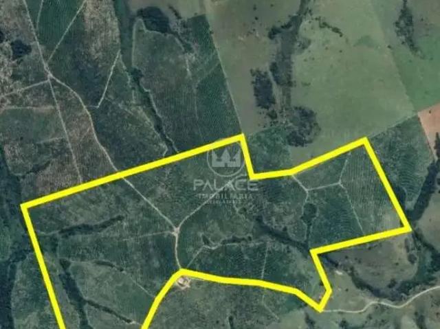 Sítio / Chácara para Venda em Conchas/SP Zona Rural 1 Quartos