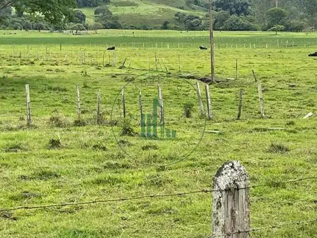 Sítio / Chácara para Venda em Congonhal/MG Marianos