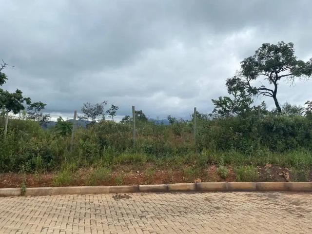 Sítio / Chácara para Venda em Congonhas/MG Lobo Leite