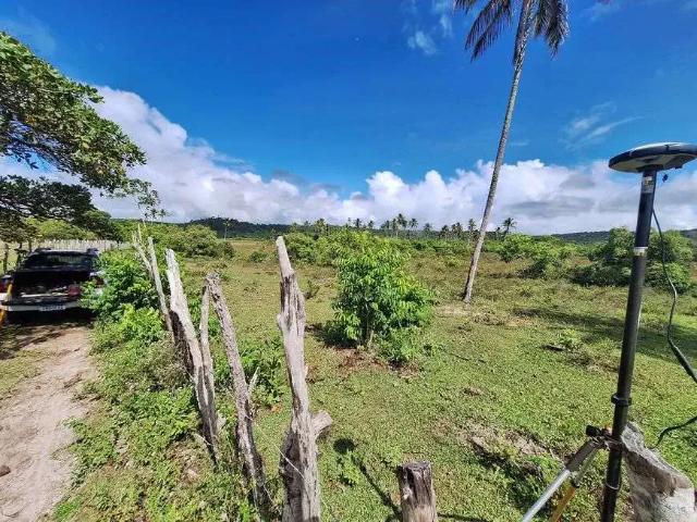 Sítio / Chácara para Venda em Conde/BA Zona Rural