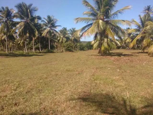 Sítio / Chácara para Venda em Conde/BA Zona Rural