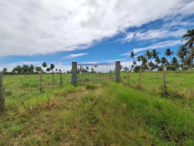 Sítio / Chácara para Venda em Conde/BA Zona Rural