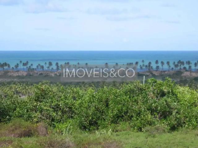 Sítio / Chácara para Venda em Conde/BA Barra do Itariri 2 Quartos