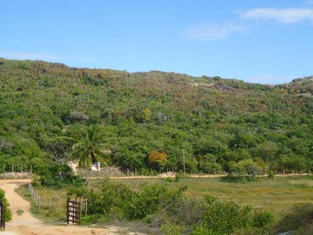 Sítio / Chácara para Venda em Conde/BA Itariri 2 Quartos